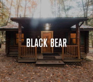 Tour Our Cabins in Cook Forest | Evergreen Cabins & Mercantile